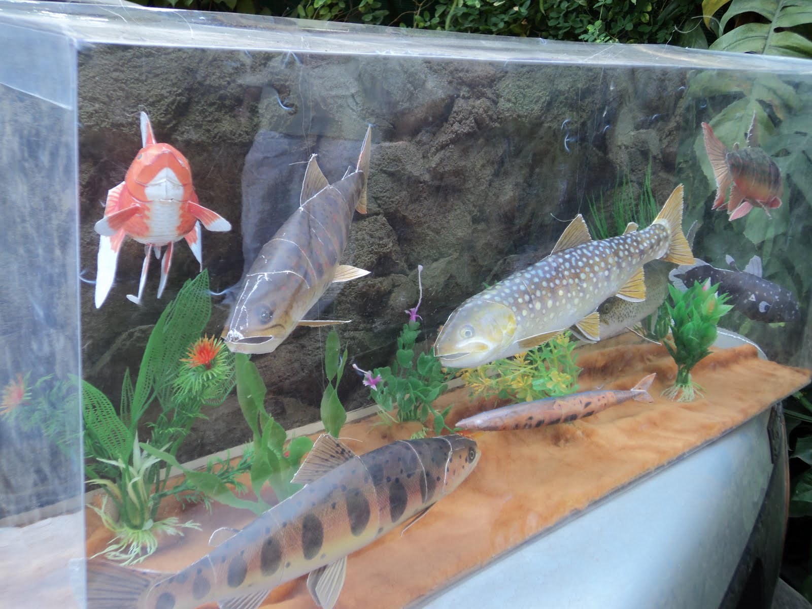 Sunil Date's Paper Craft: FISH TANK