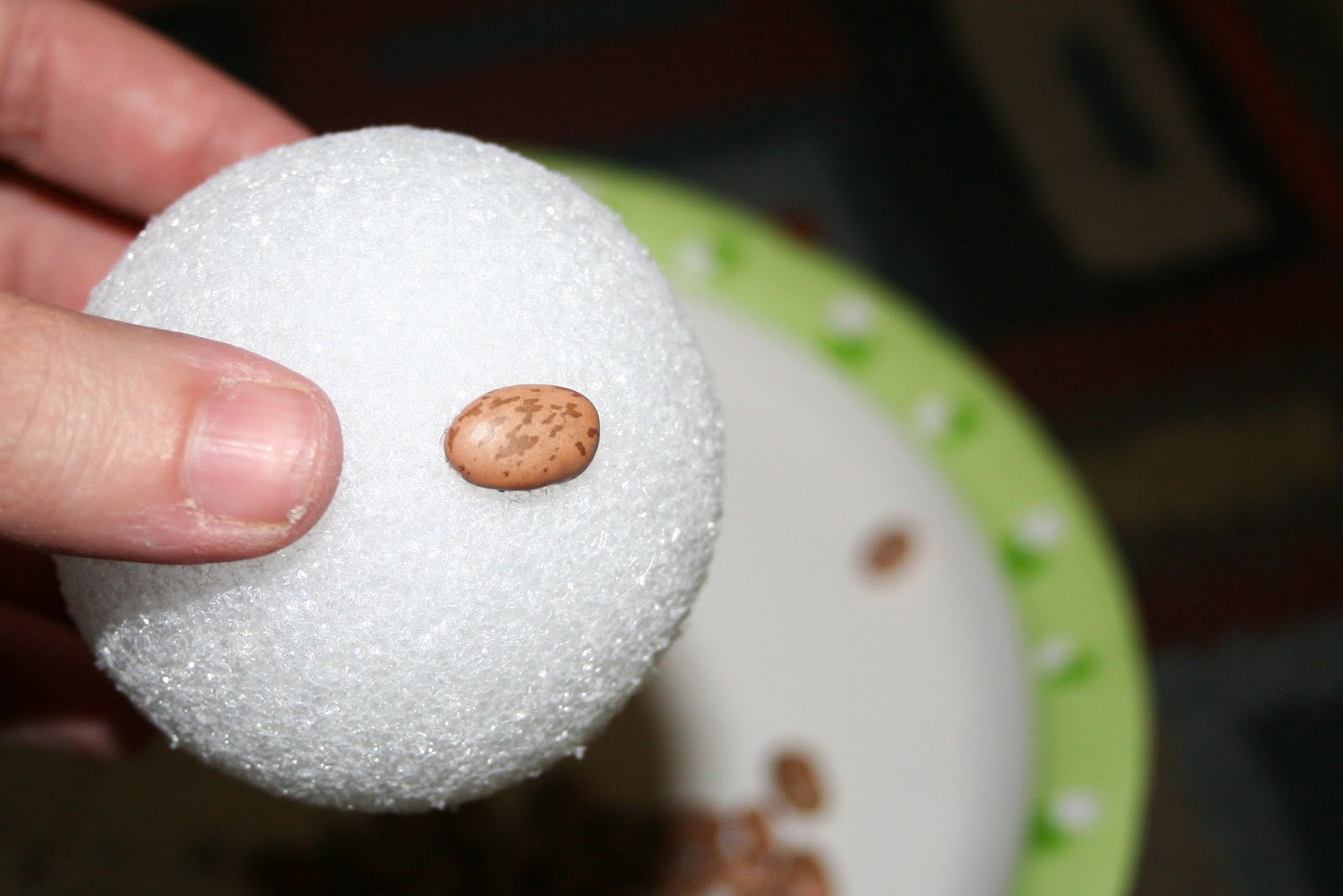 .: Twine & Bean Styrofoam Balls...