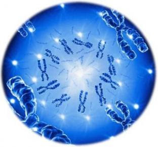 Genética del siglo XXI