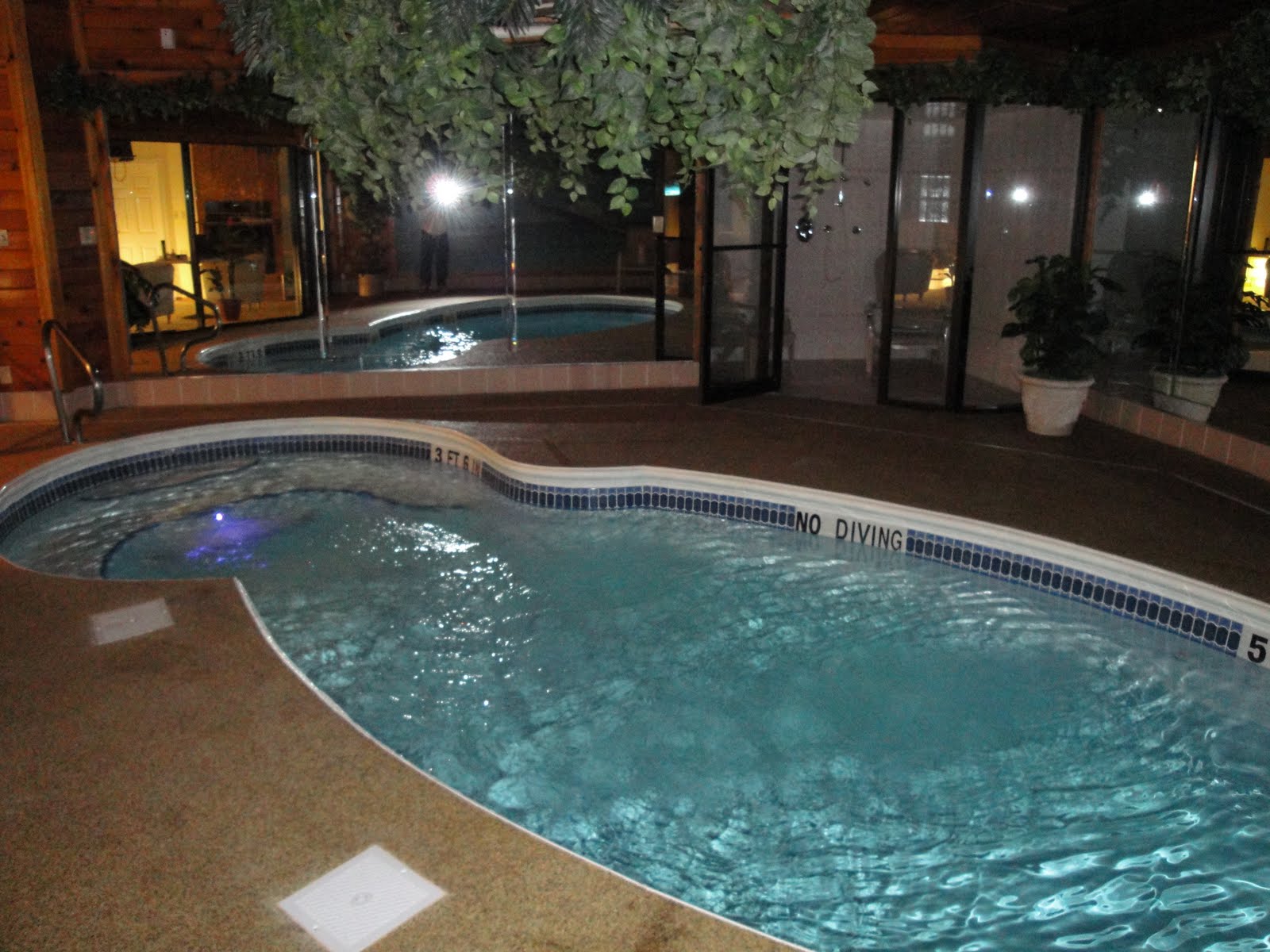 Flowers On My Side Of The Wall: Sybaris, October 5, 2010