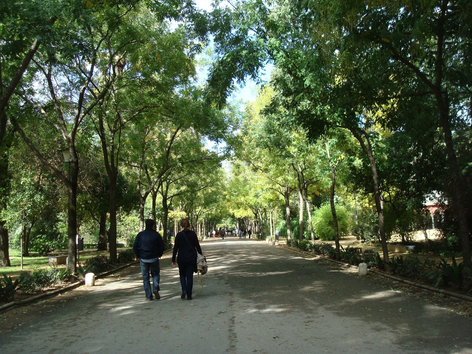 parquemarialuisa-encinarosa: Grandes paseos - Parque de María Luisa ...