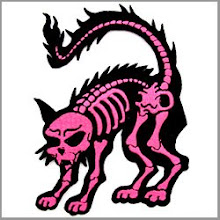 Gamma Kitty: Shaderware Virtual Radiography