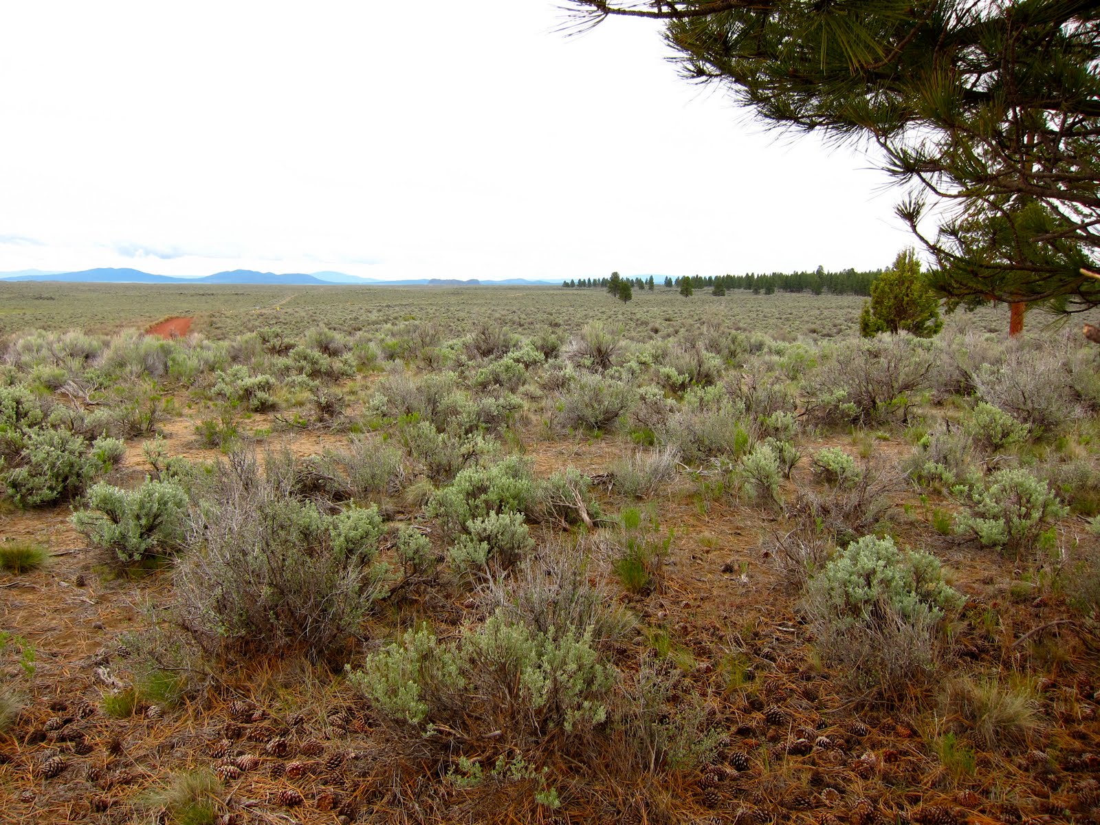 Physical and Cognitive Challenges in the Outdoors: Lake County, Oregon ...