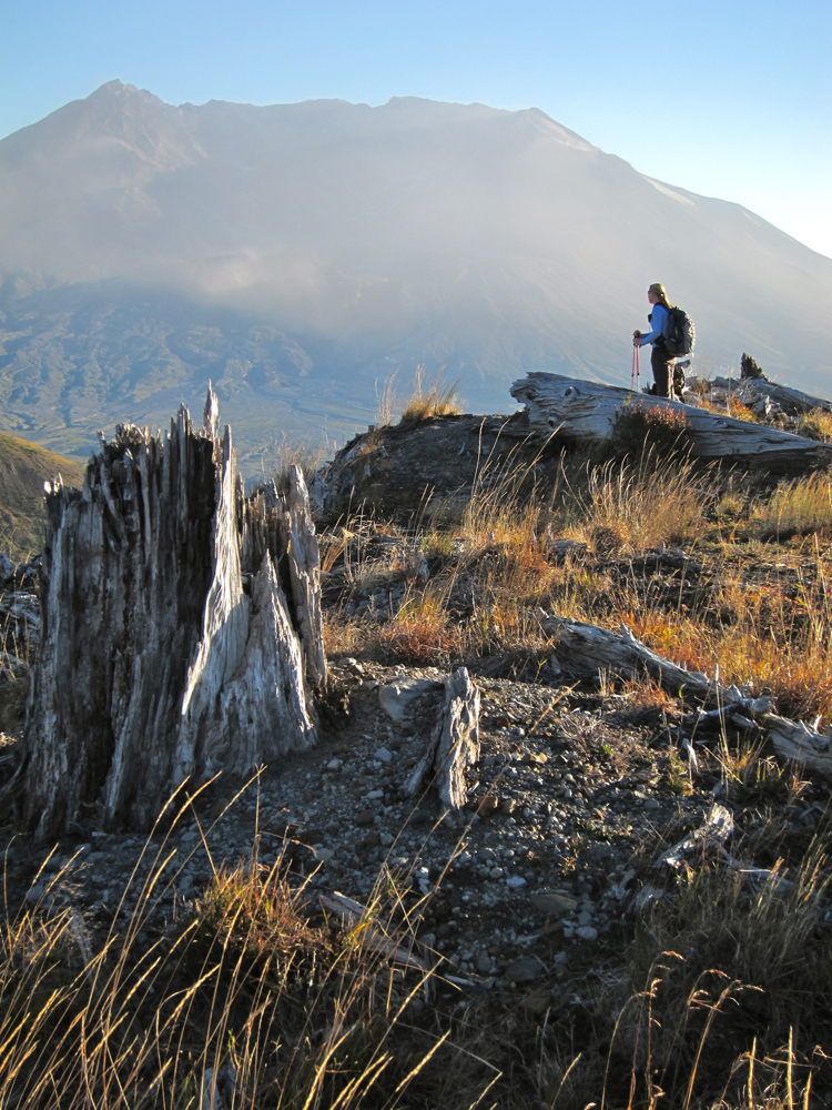 Physical and Cognitive Challenges in the Outdoors: Coldwater Peak, Mt ...