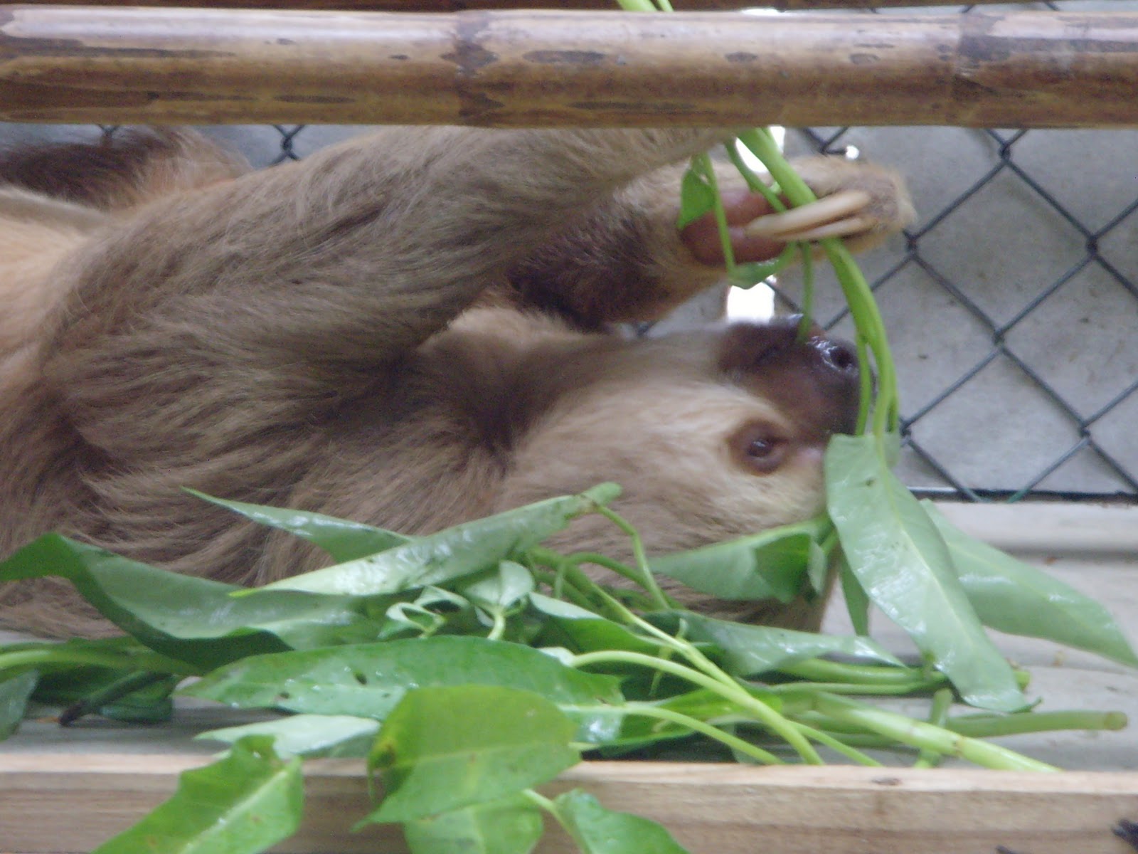 Paul and Siobhan's Travel Blog: October 2010