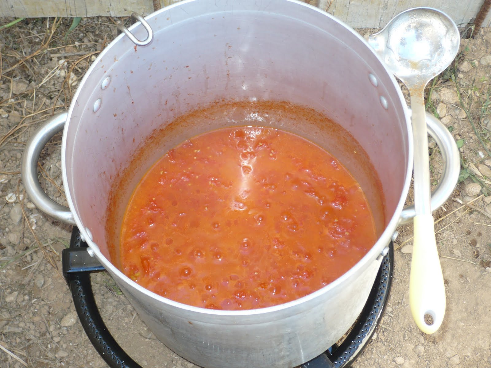 EL HUERTO ECOLOGICO DE BALBI: Taller de embotar tomate