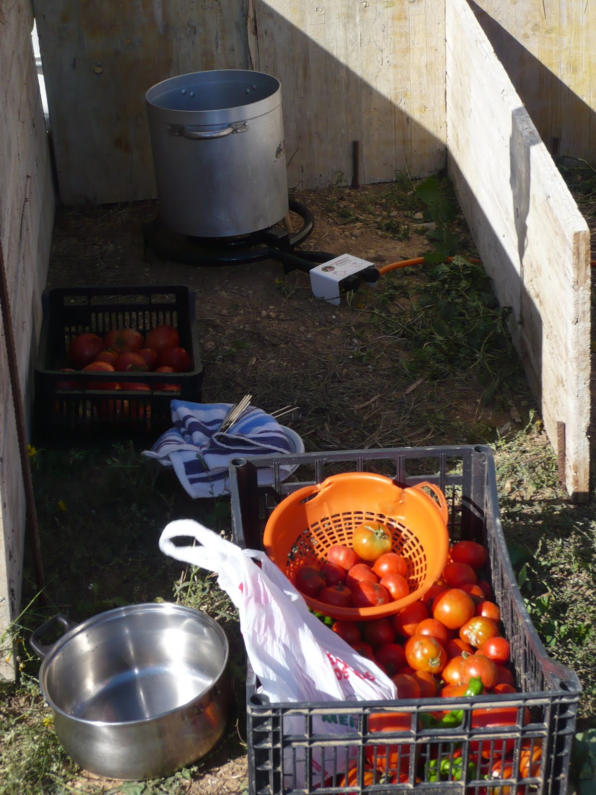 EL HUERTO ECOLOGICO DE BALBI: Taller de embotar tomate