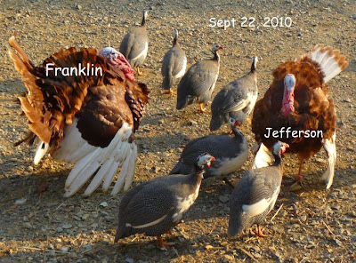 BooneDocksWilcox: Sept 22nd Photo's