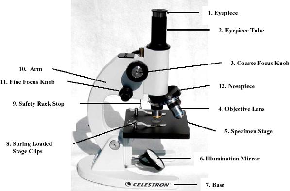 Science, Natural Phenomena & Medicine: Celestron Biological Microscope ...