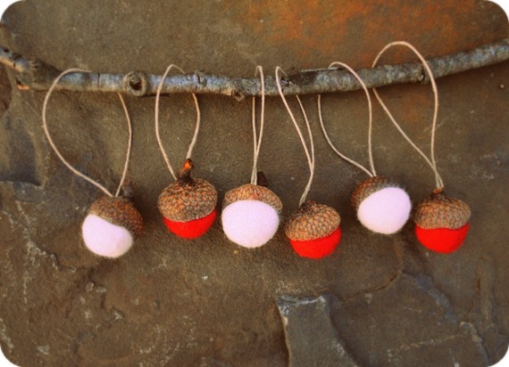 blend: Acorns!