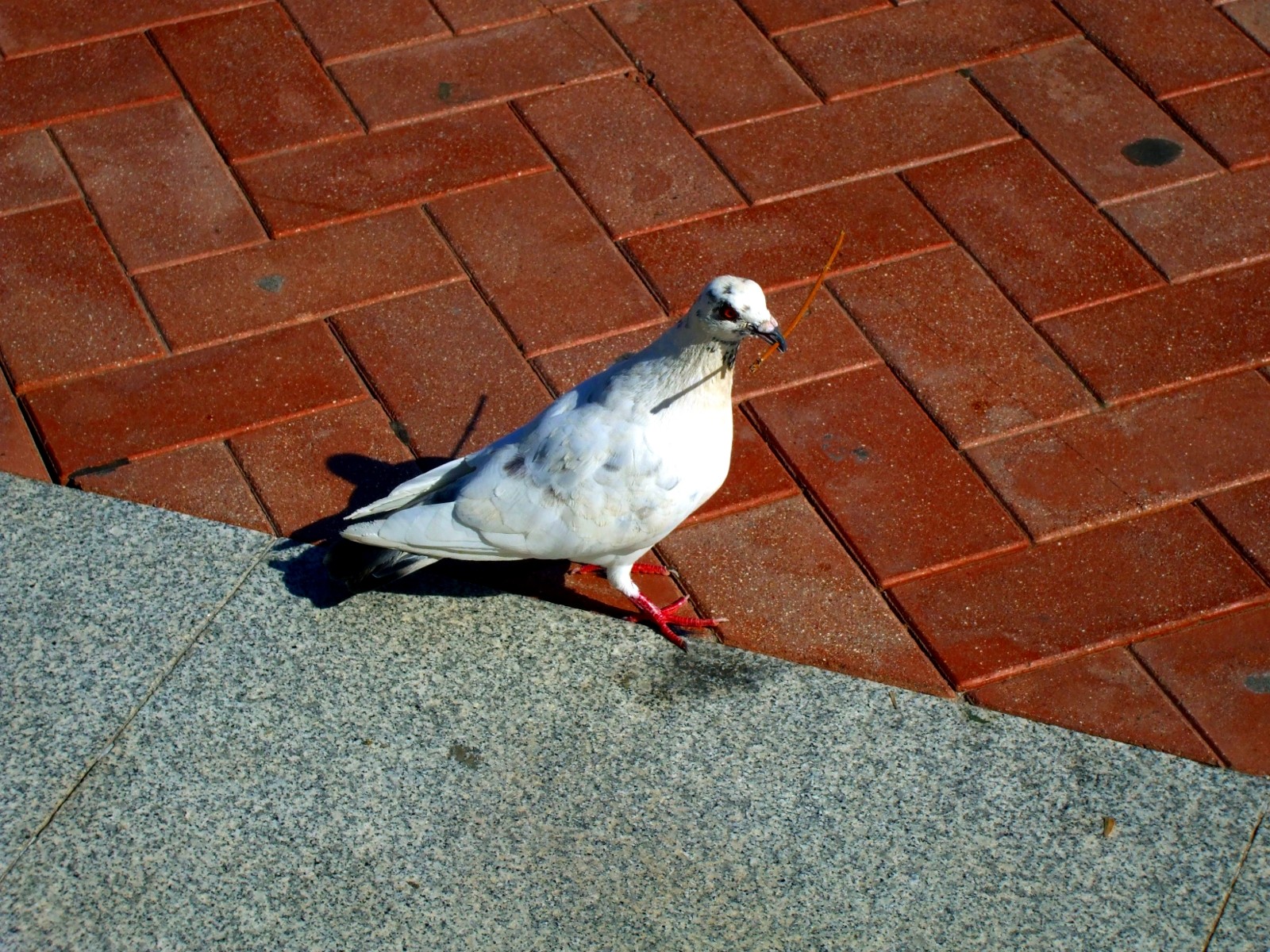 PhotoBlog do Vencislago)=-.