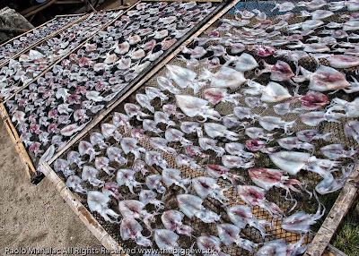 TheBigNews: Bantayan Island: blessings of light ( Buhay Buwad ) - Life ...