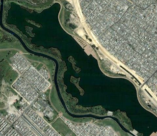 HUMEDAL JUAN AMARILLO