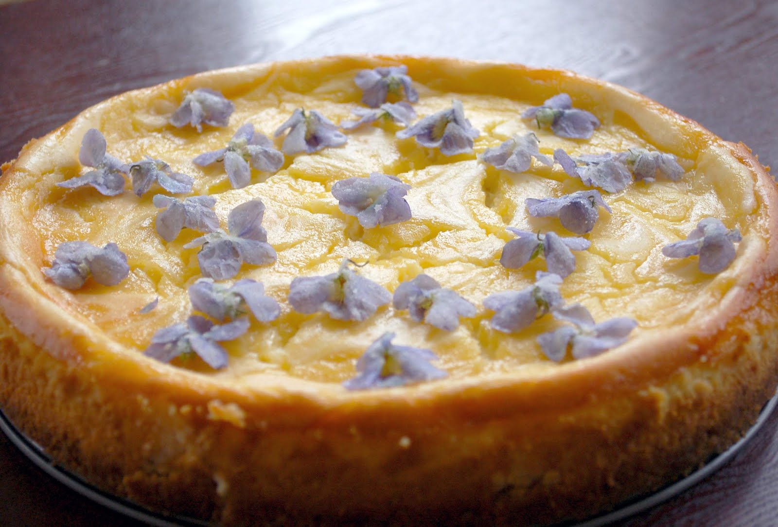 Sugared Violets - light-in-leaves