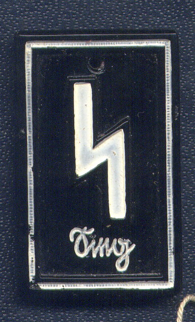 INSIGNIAS NO MILITARES DEL III REICH: RUNAS EN CRISTAL