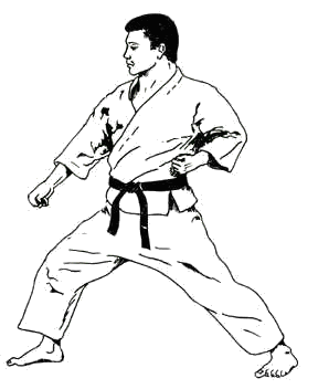 Um Blog de Karate: Katas - Imagens e Vídeos