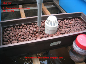 Affnan's Aquaponics: Hydroton - Simple Test