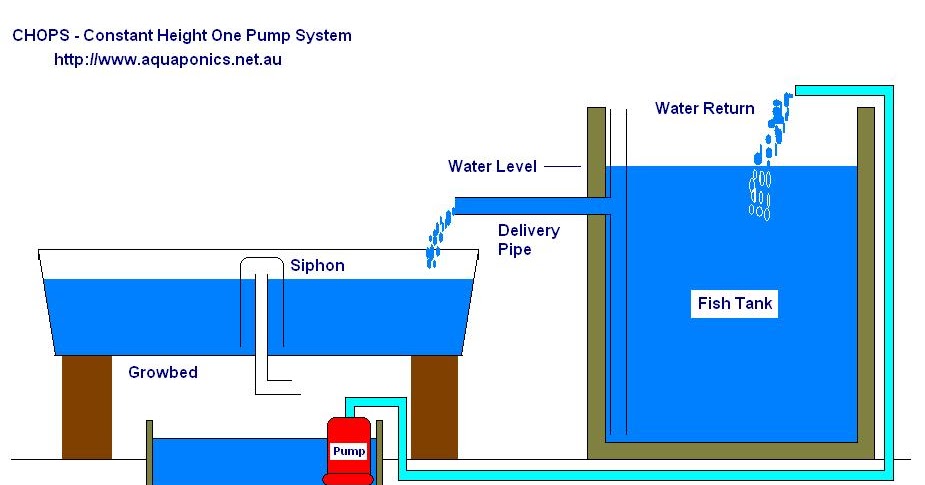 Affnan's Aquaponics: CHOP 2 - A revised CHOP