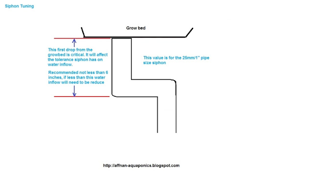 Affnan's Aquaponics: August 2010