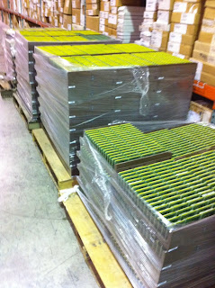 Express It! Buy Sell Telecom: Nortel DMS line cards, NT6X17AC NT6X21AC