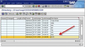 Knowledge Management IT for you: SAP BASIS SAP Availability Log ...