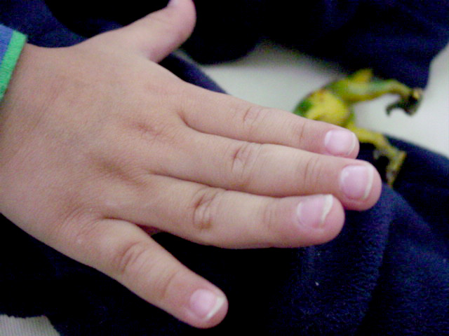 inspire co.: look meleen! they're still there..