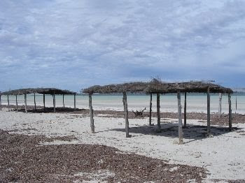 Brianne 8th Grade Humanities: Lord of the Flies: Chapter 3