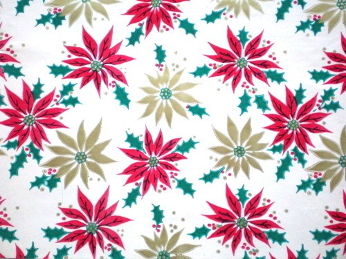 Photography lessons, ideas and photos by Lisa Ensor