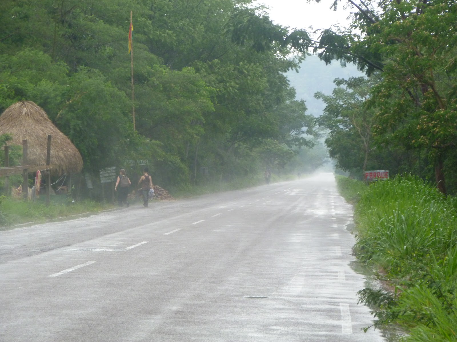 Life in a year full of Saturdays: Parque Ambue Ari - The 3:10 express ...