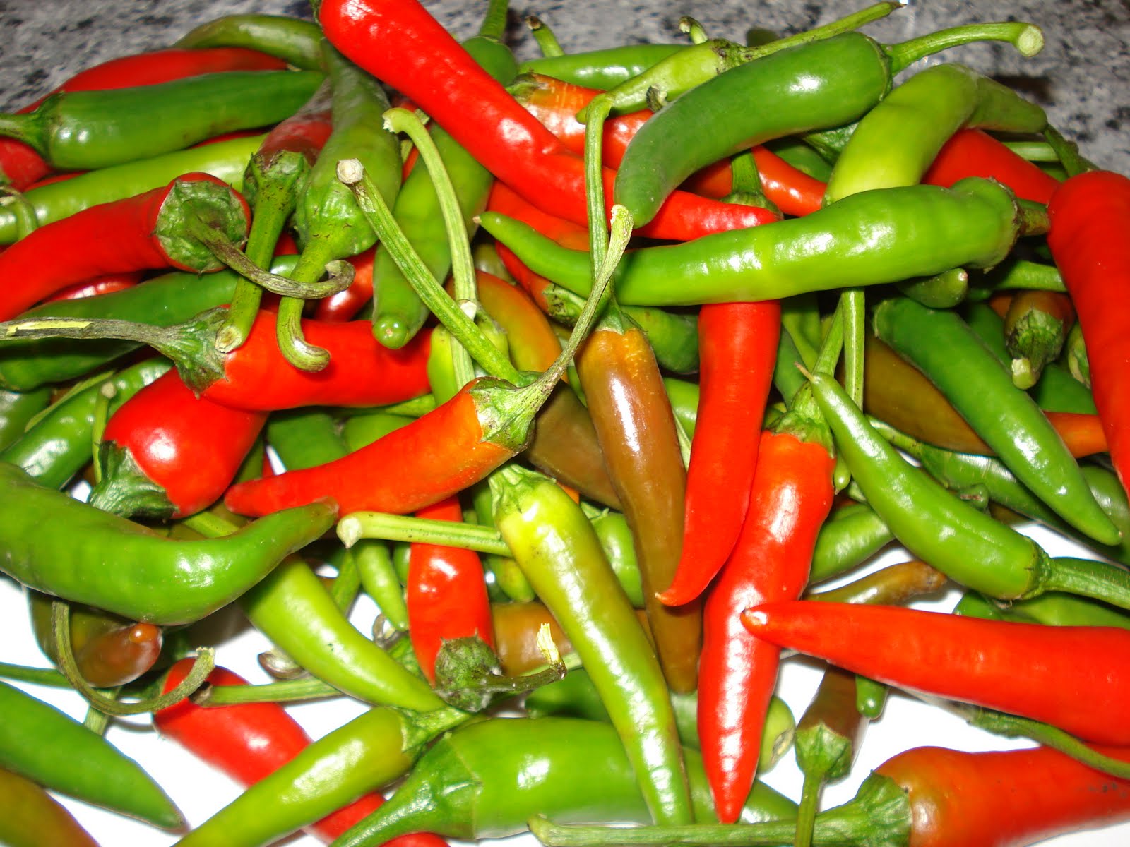 Chillies | Thai Recipes