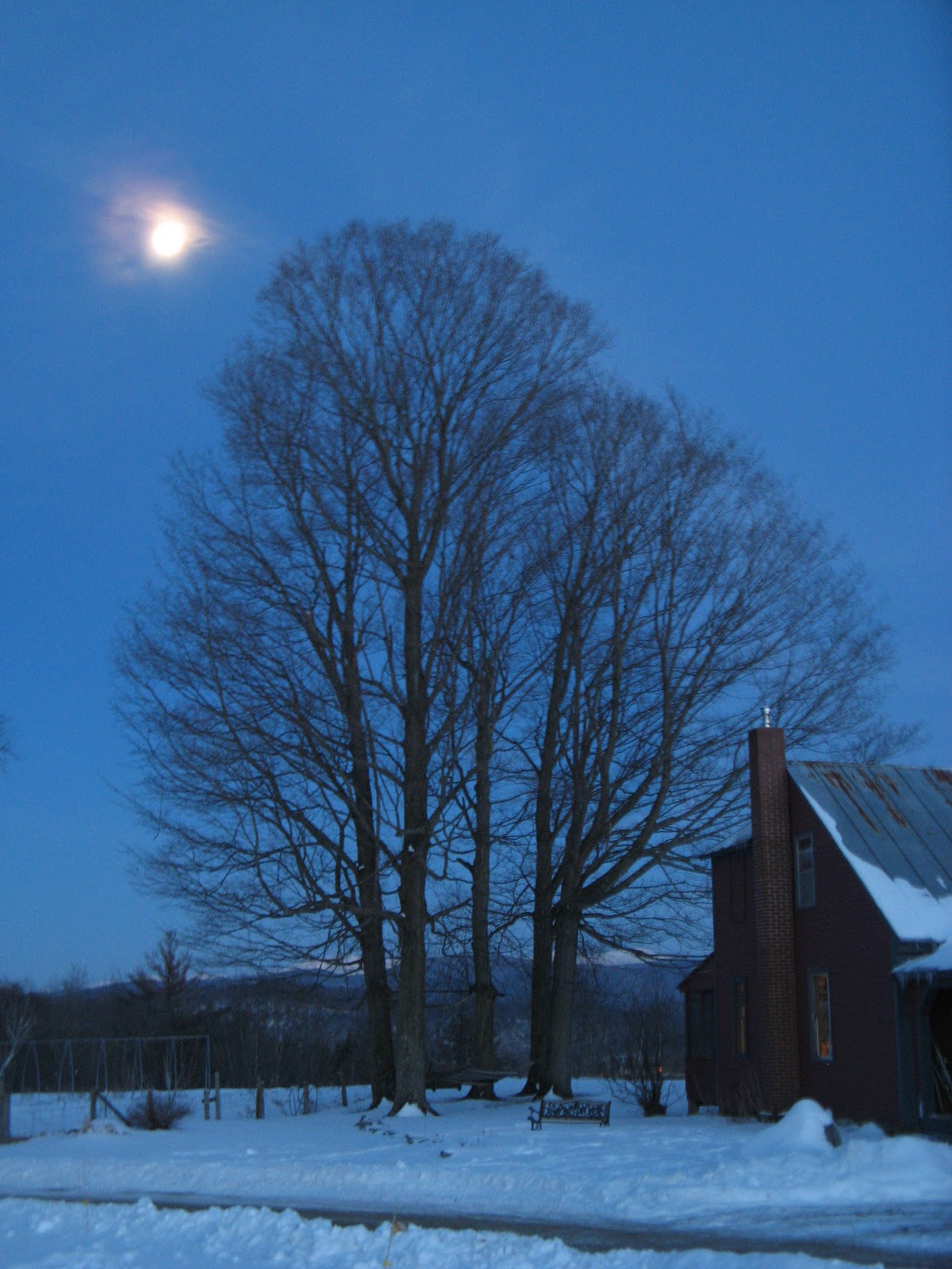 Animal Instinct: Moonlight in Vermont