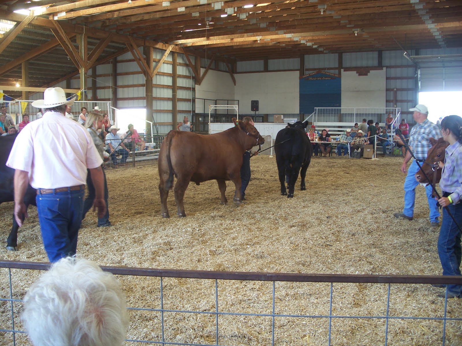 Blissfully Natural Cora: 2010 Gooding County Fair