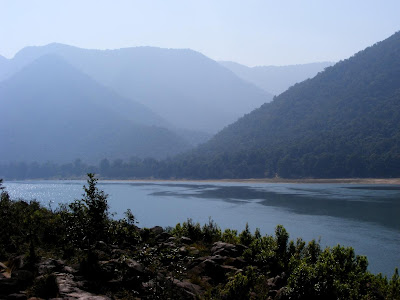 Wilderness Tales from Odisha: Satkosia at Tikarpada-Day 2