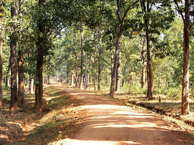 Wilderness Tales from Odisha: Satkosia at Tikarpada-Day 2