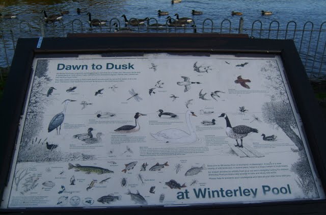 Haslington Conservation Volunteers: Winterley Pool Interpretative Panel