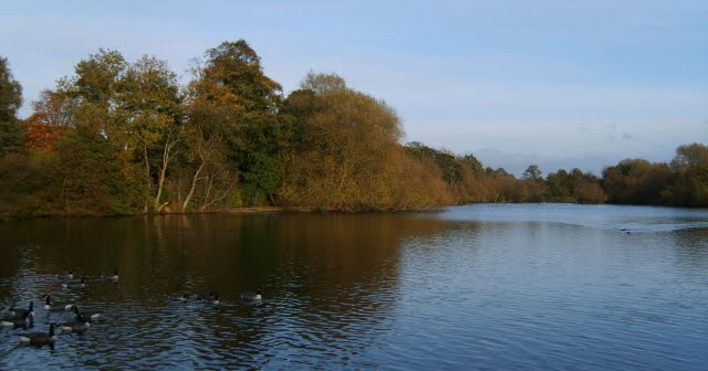 Haslington Conservation Volunteers: Winterley Pool Interpretative Panel