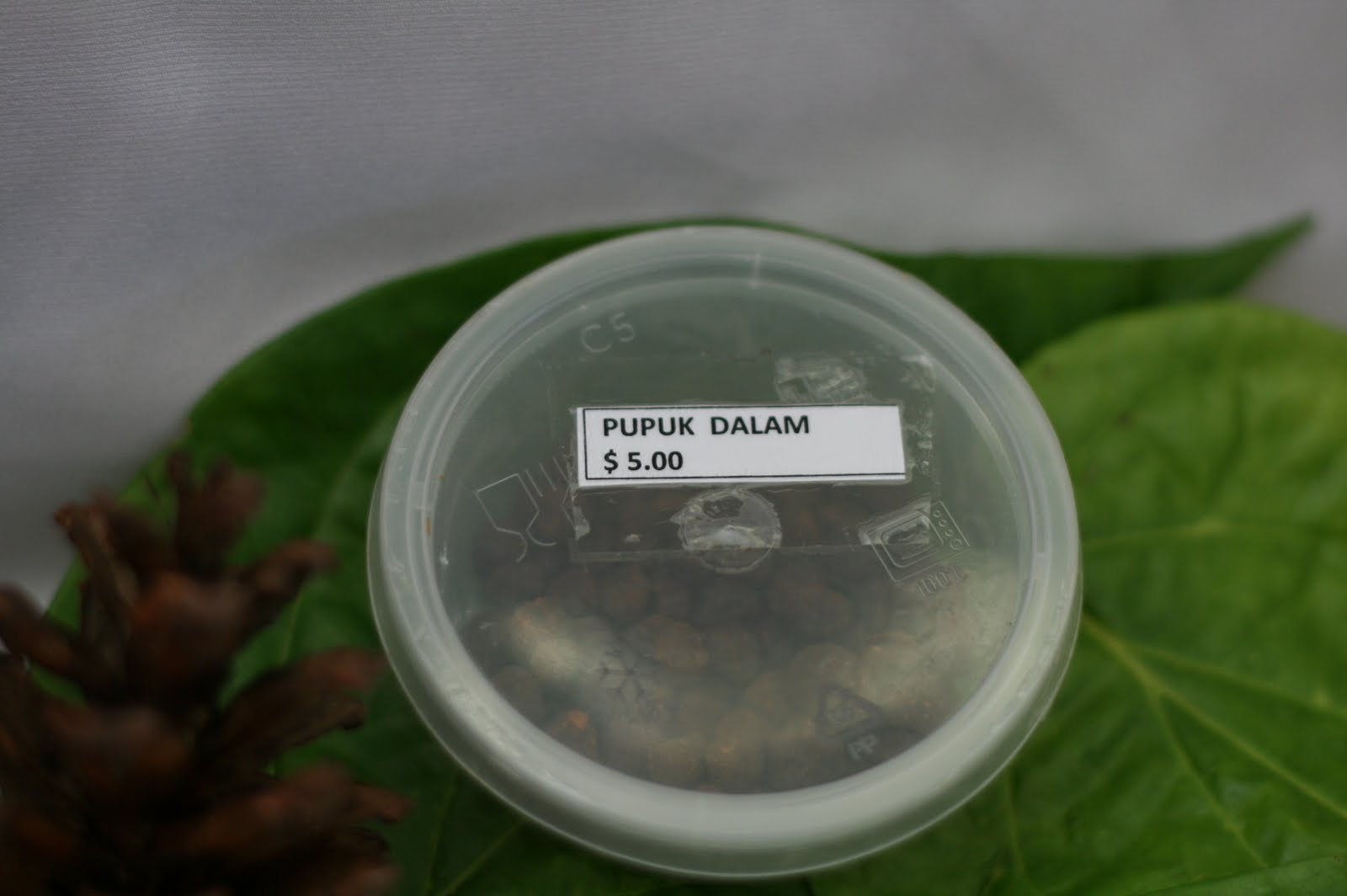 Jamu Tradisi Brunei: Pupuk