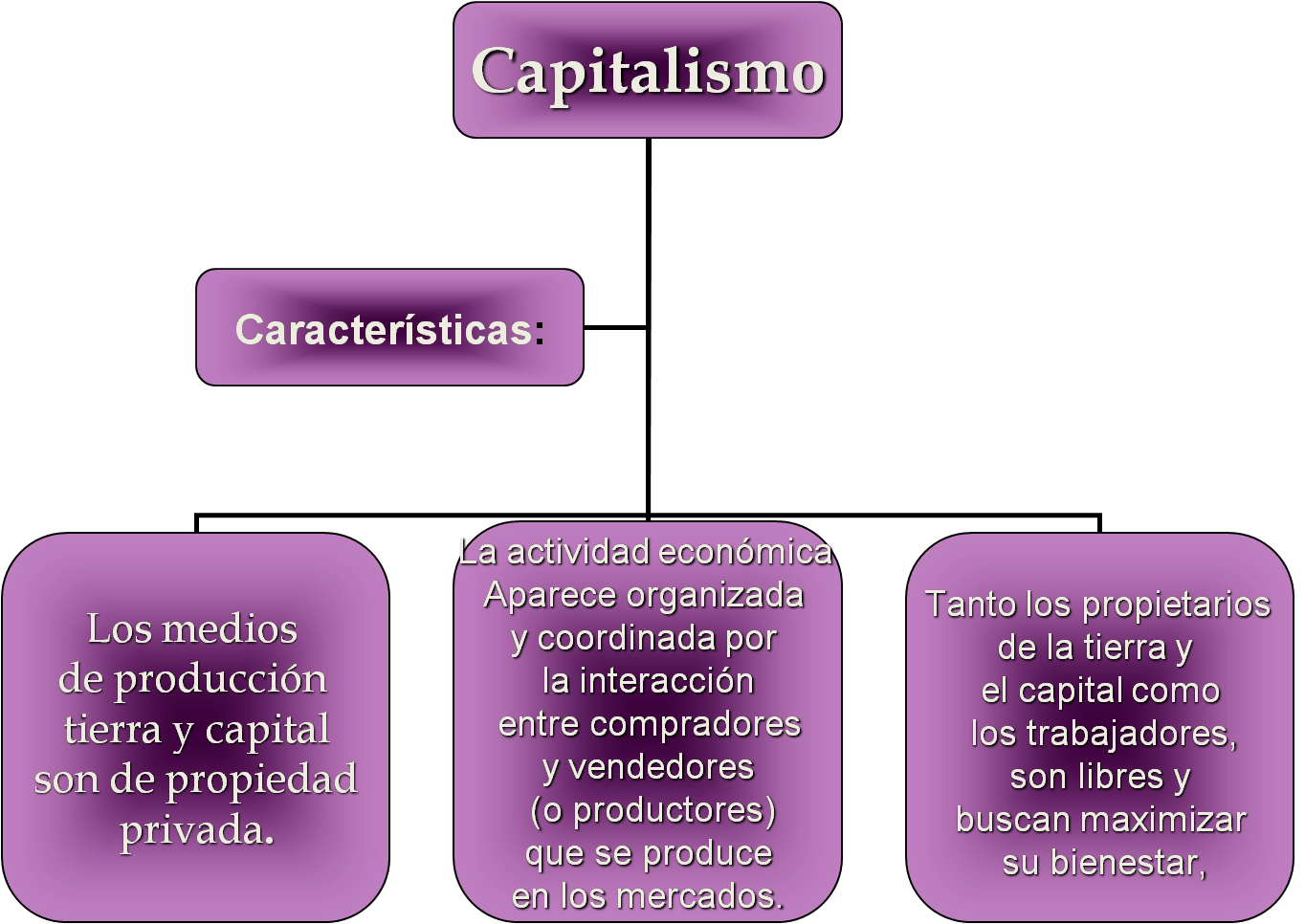 CTSyVII_ 3º construccion "c": CAPITALISMO