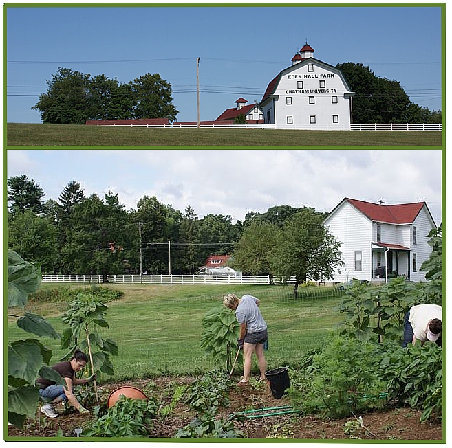Out And About In The 'Burgh: Gift of Eden Hall Keeps Growing