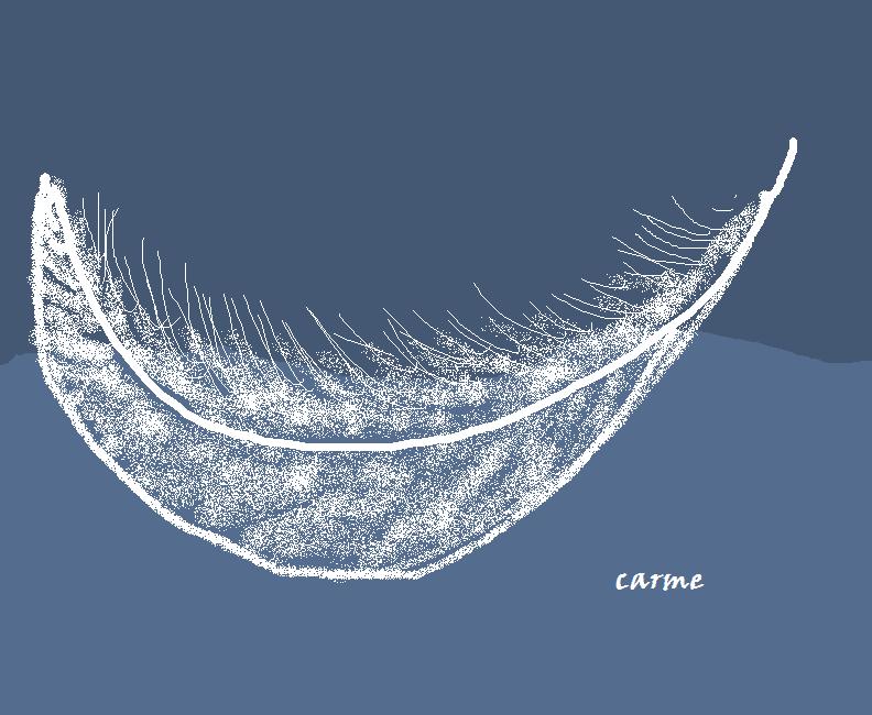 Col·lecció de moments: Nadal 2010 o el dels 92 blocs- ANAGRAMES