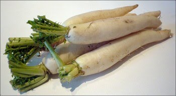 Athlete's Foot (Alipunga) Herbal Remedies ~ Overcoming Diseases