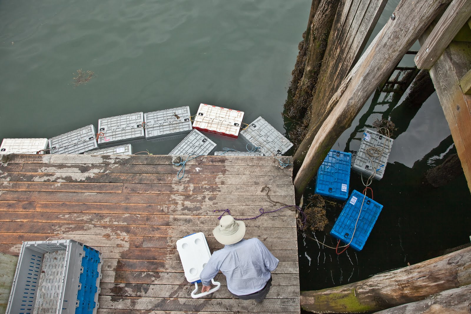 Kelly Joy Morrill: Some family portraits taken in New England