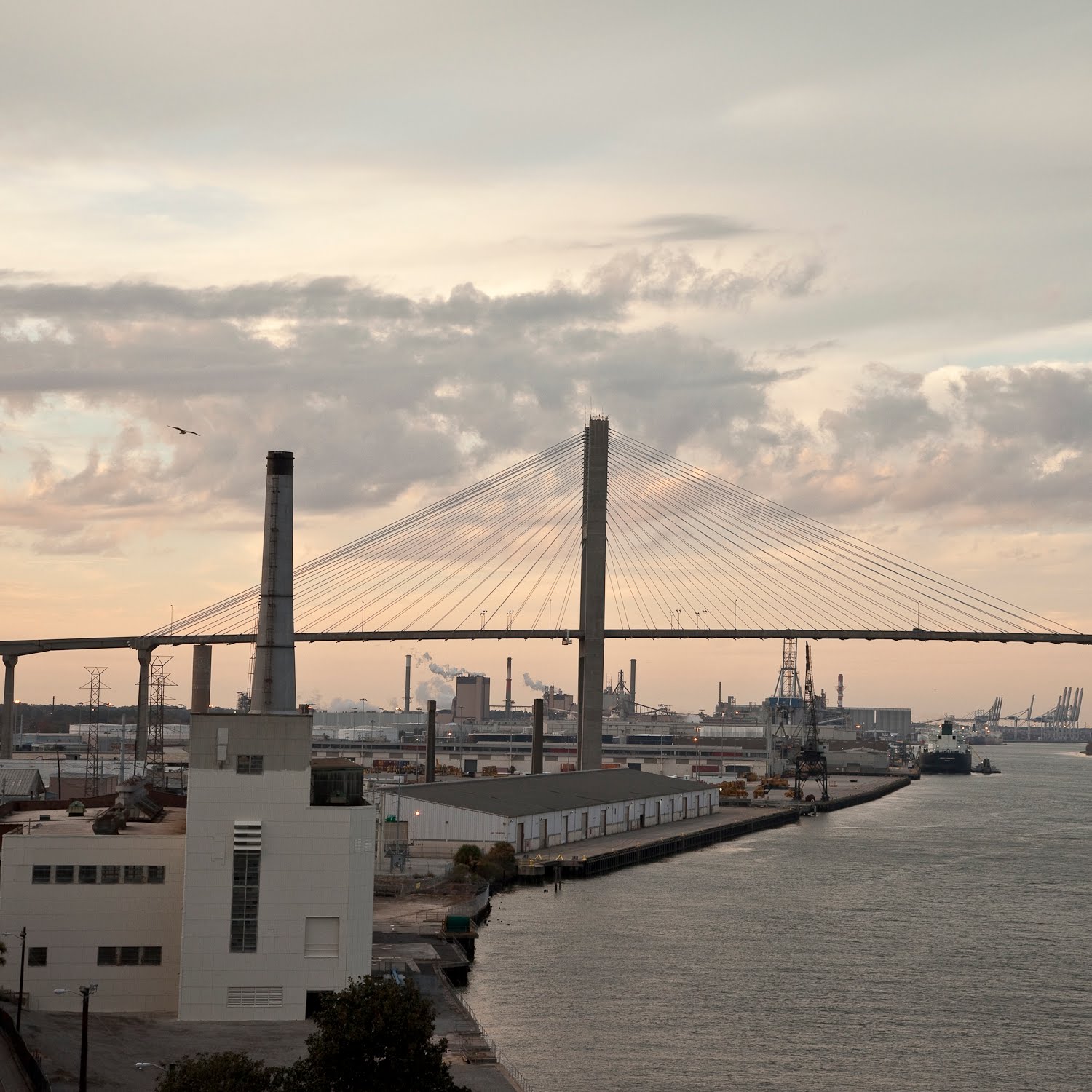 Kelly Joy Morrill: Savannah, Georgia