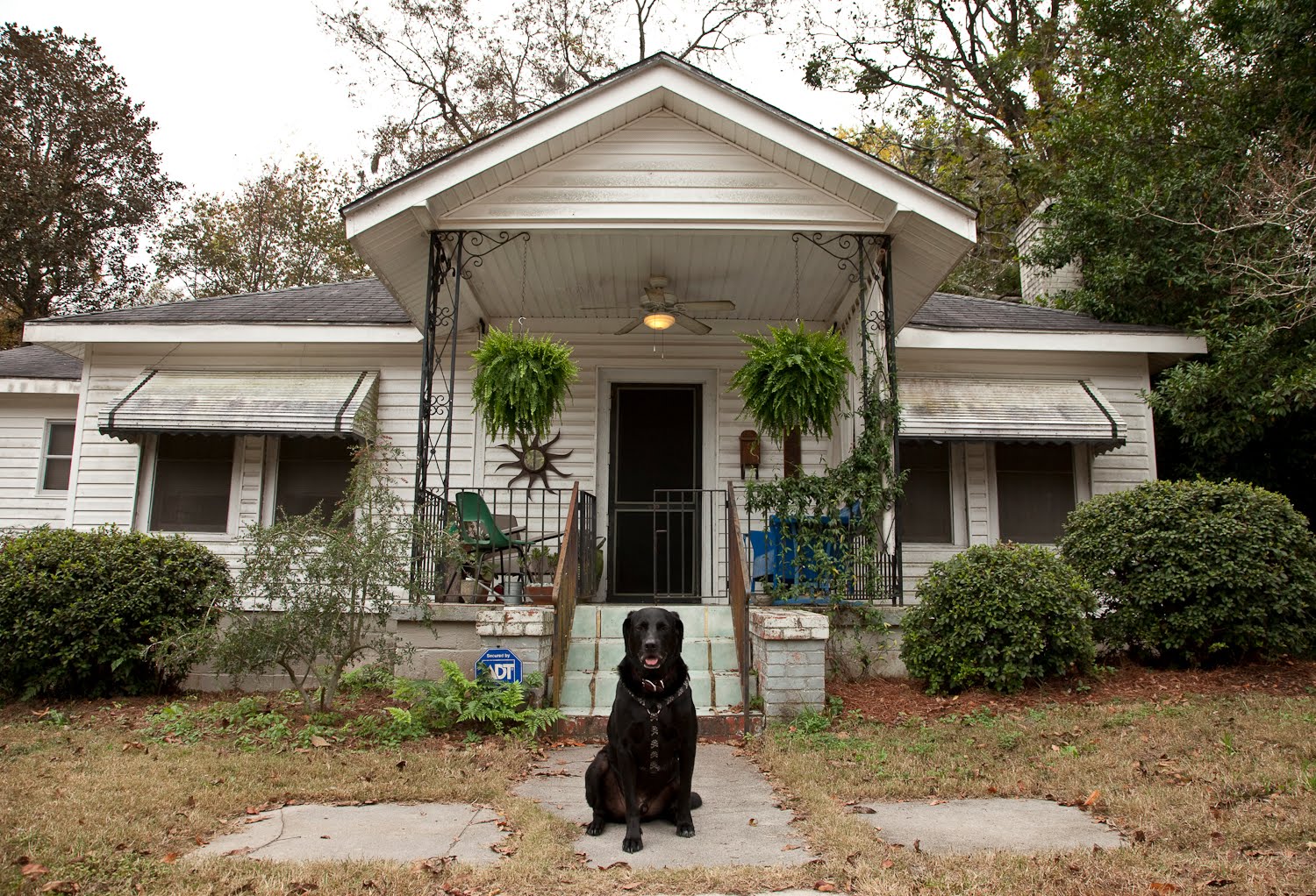 Kelly Joy Morrill: Savannah, Georgia