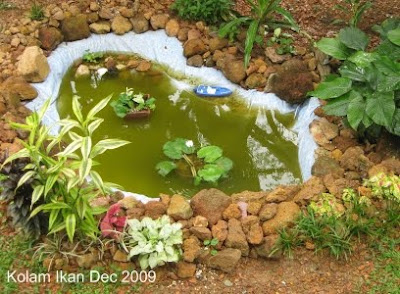 My Small Garden: Kolam Ikan DIY