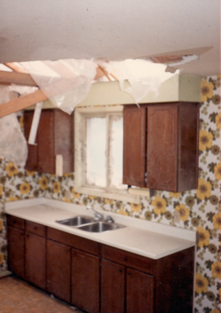 Janet the researcher: May 31, 1985