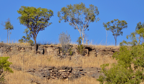 Back of Beyond The NT: Journey South-West/Gregory National Park Part I