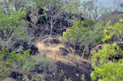 Back of Beyond The NT: Gimbat District/ SouthWest Kakadu Part I