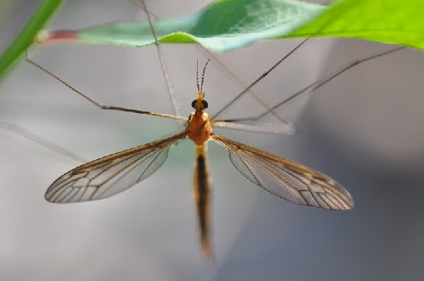Back of Beyond The NT: Walker Creek Litchfield National Park