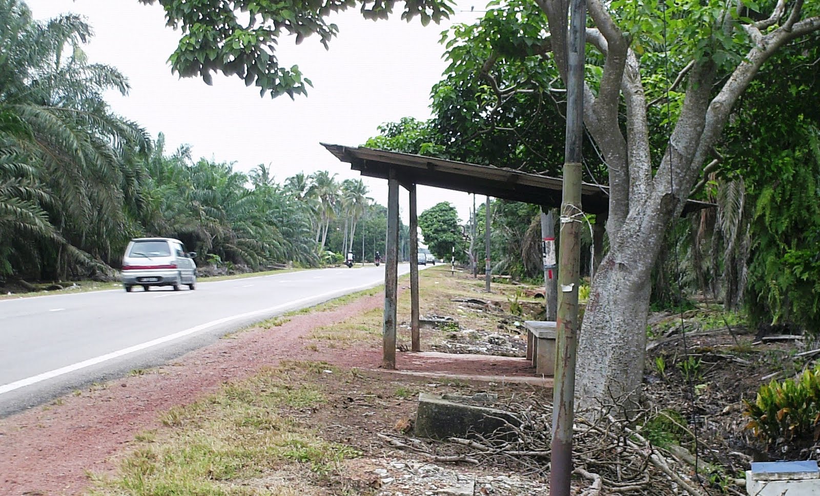 KAMPUNG TIMUR LAUT, TELUK KERANG, PONTIAN.